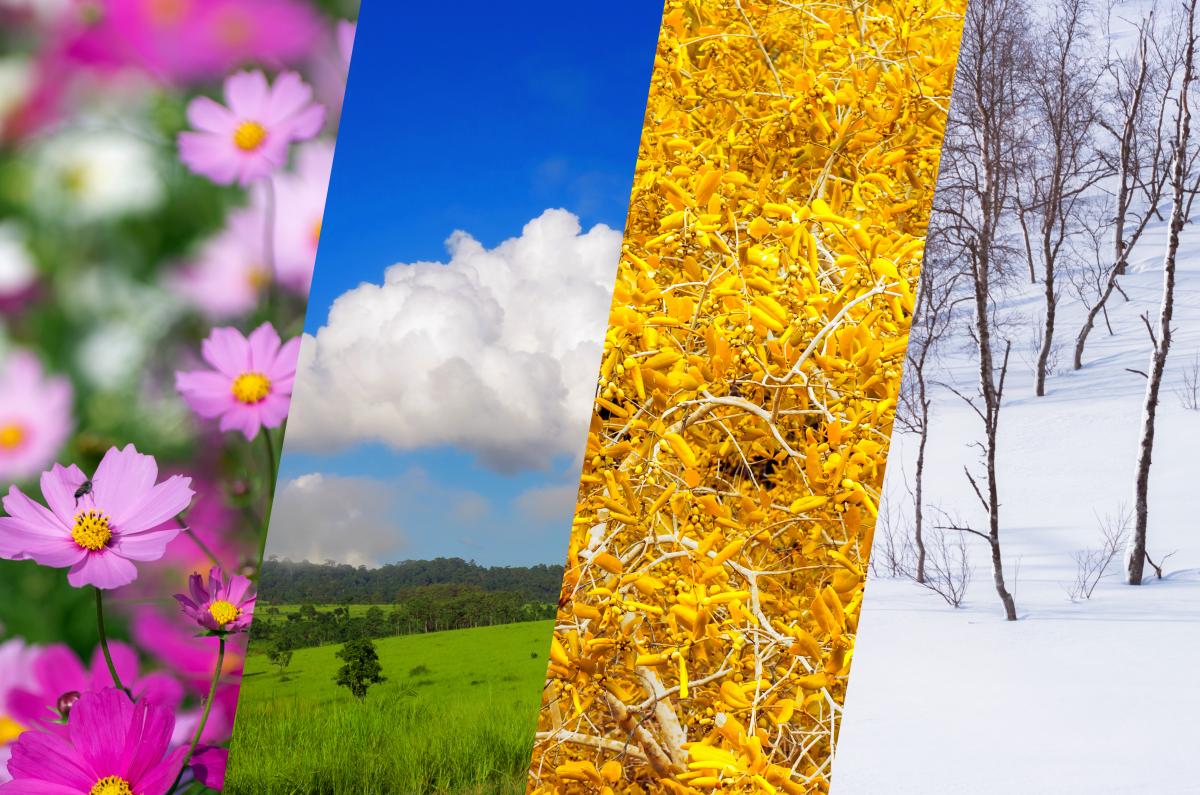 Shine.FM | Complete Transformation: The Next Door of Opportunity | Shine.FM